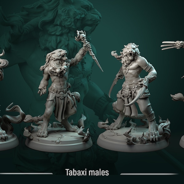 Tabaxi Miniature Dnd Mini Miniatures - Etsy