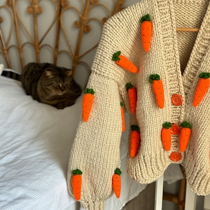 Leilayca Carrot Cardigan,3d Fruit Embroidered Cardigan , Orange Clothes ...