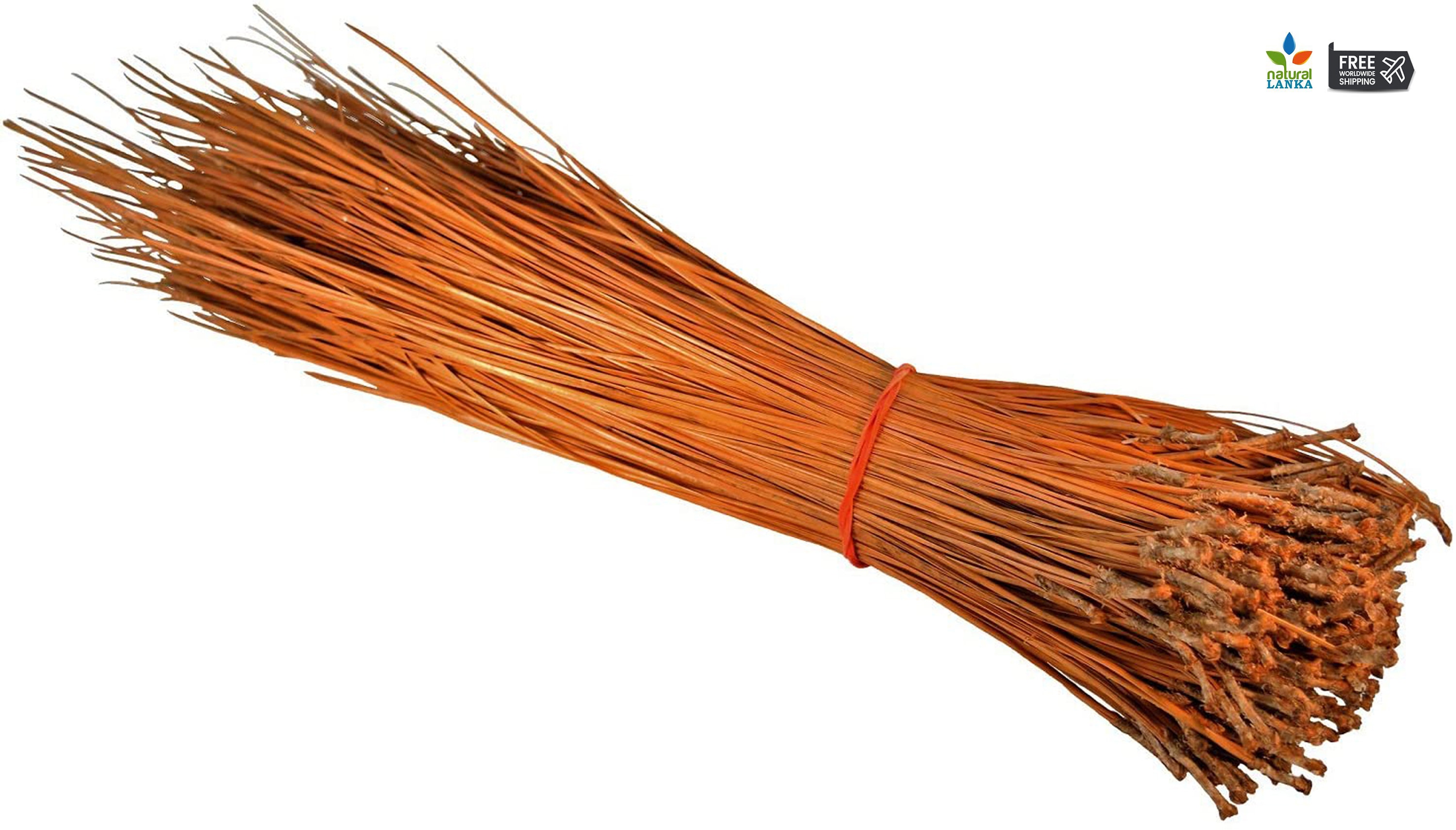 Long Leaf Pine Needles for Baskets, Craft Making, Crafting, Mat Weaving ...