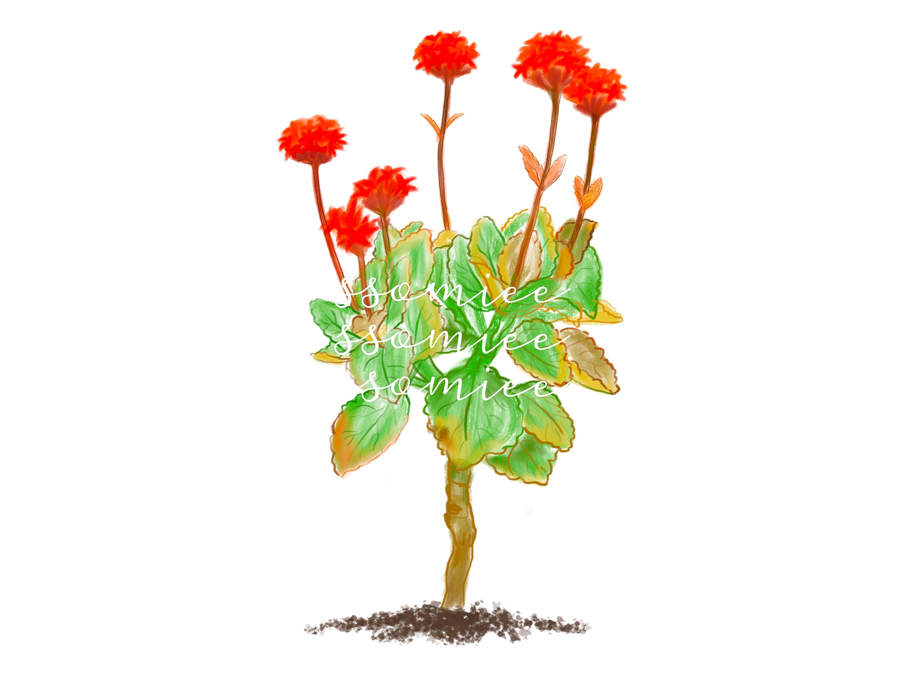 Kalanchoe Wall Art / Kalanchoe Painting / Printable Wall Art / Floral ...