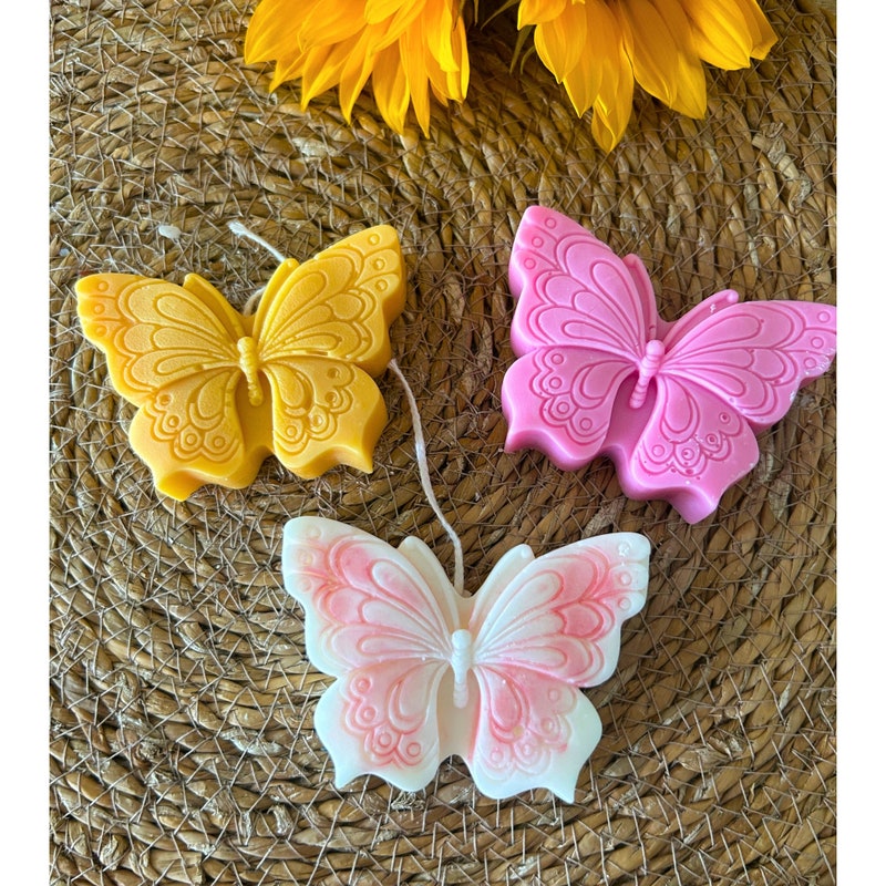Butterfly Party Favors - Etsy