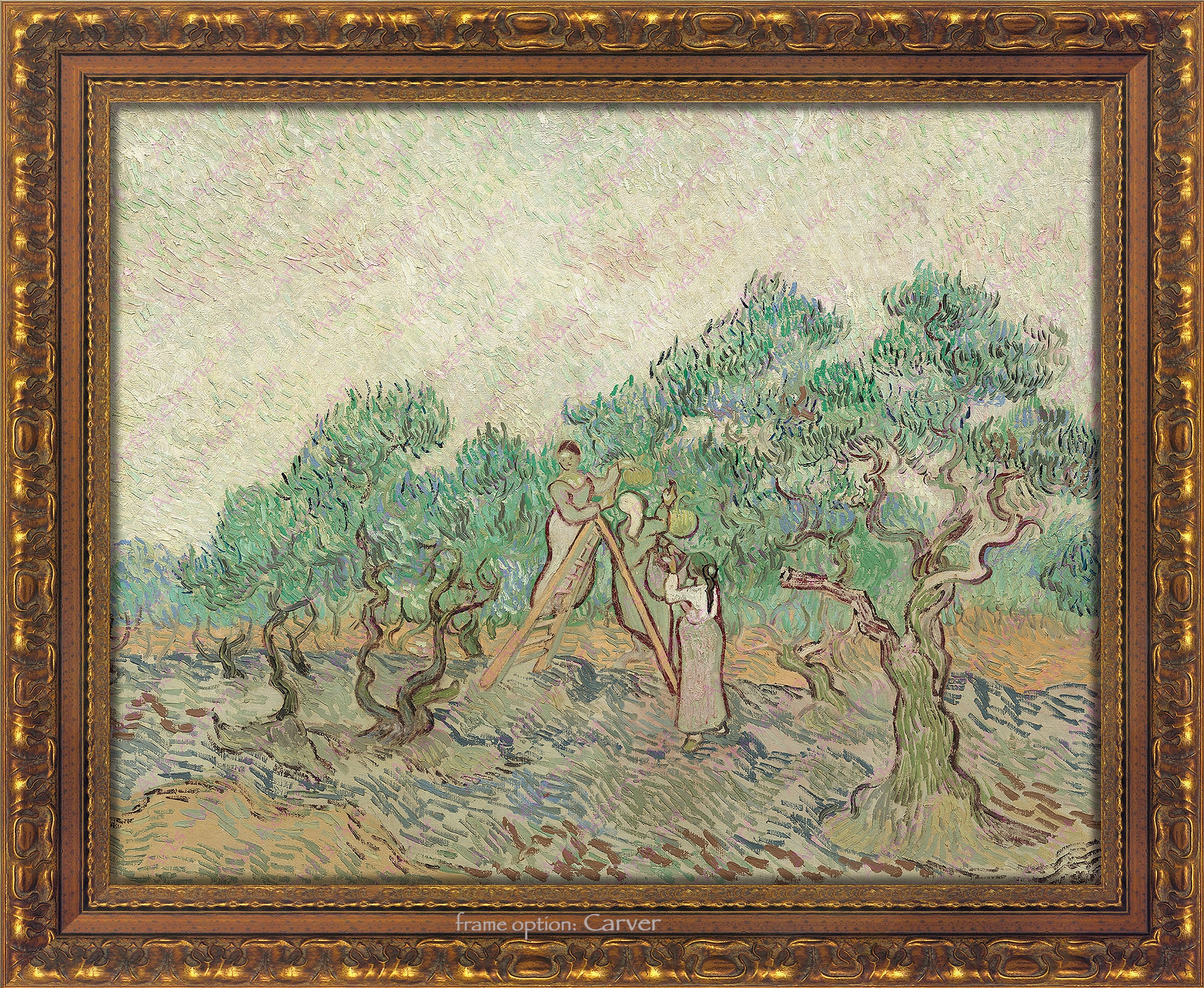 Van Gogh, Vincent. the Olive Orchard, 1889. Post Impressionist ...
