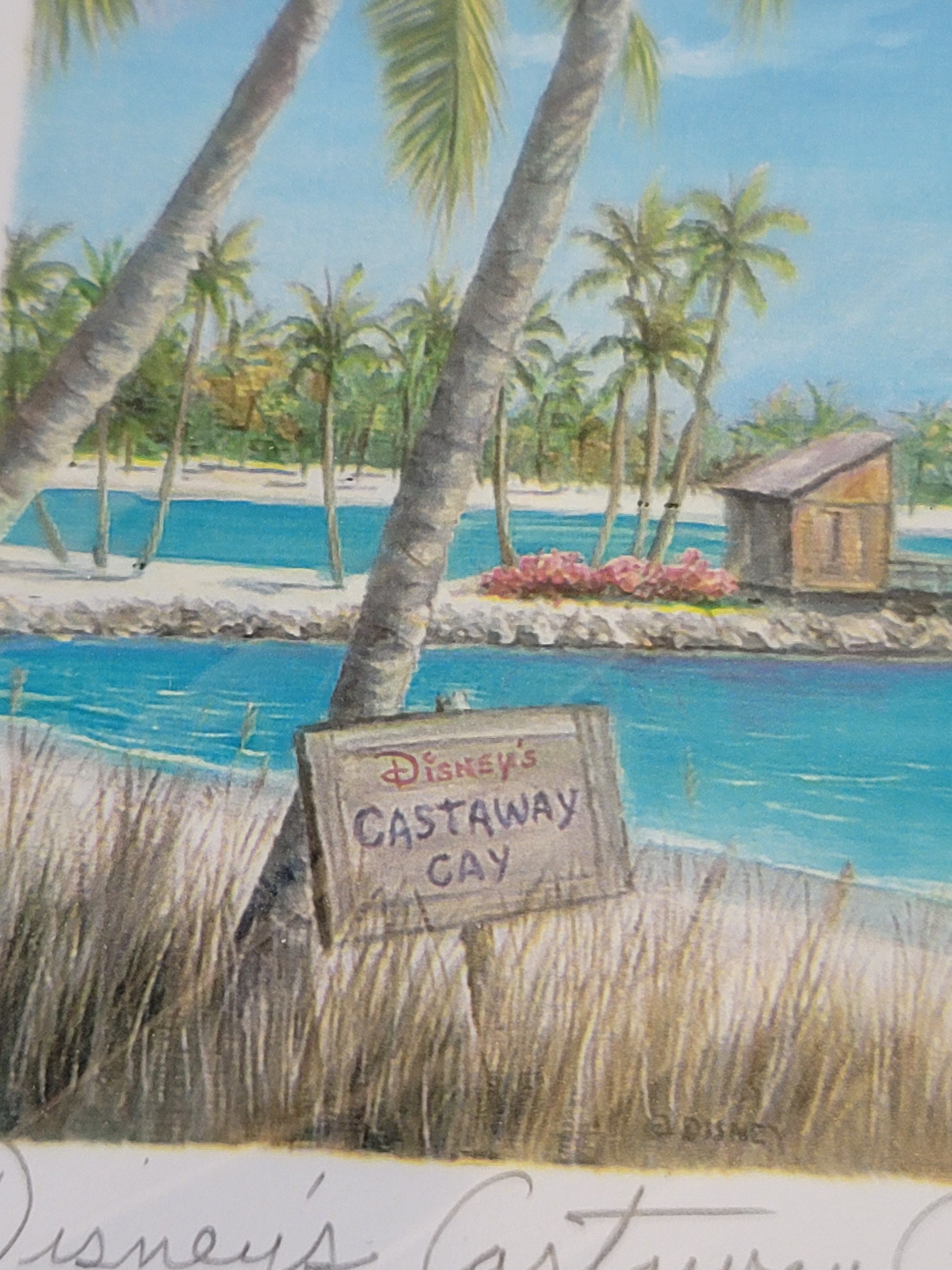Disney’s Castaway Cay Print, Hand Signed (1516) - Etsy