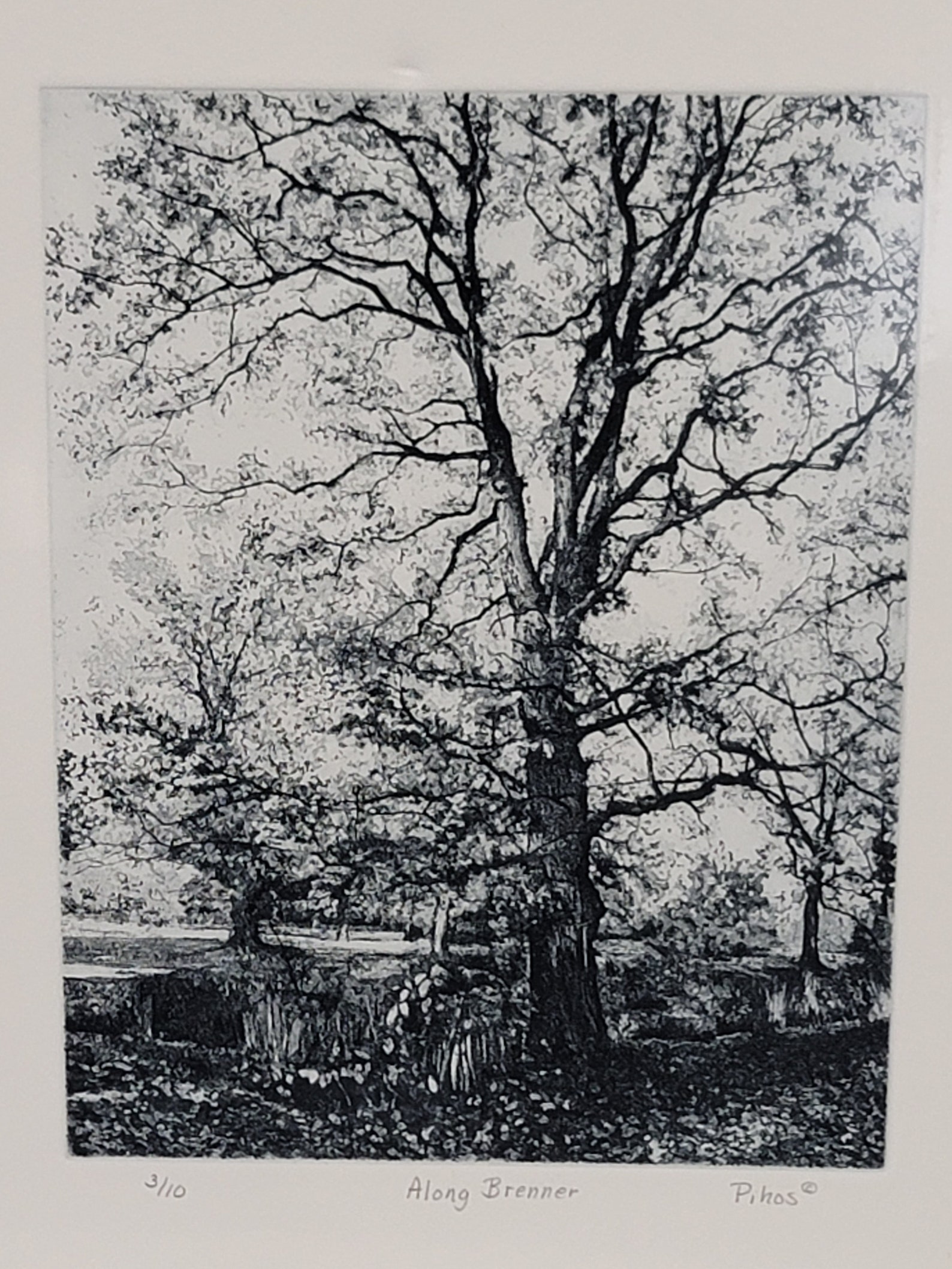 Extremely Rare Etching by Barbara Pihos (1474) - Etsy