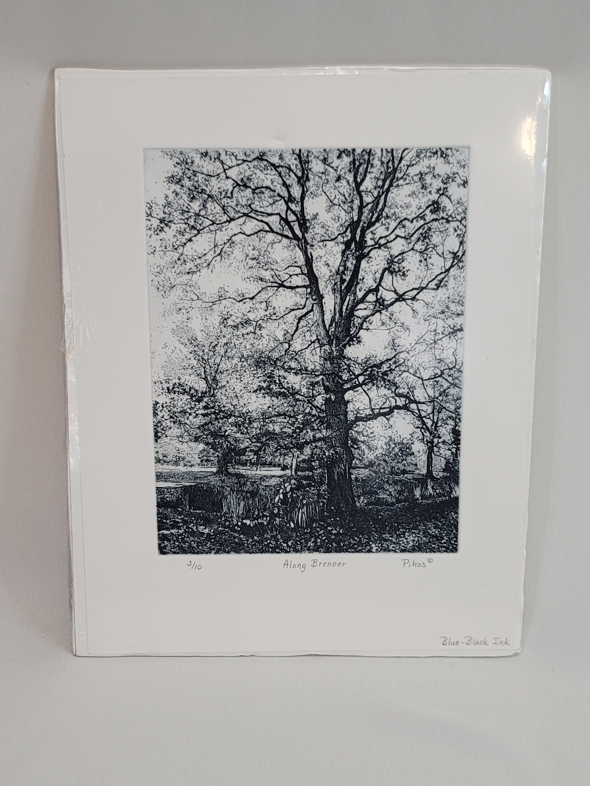 Extremely Rare Etching by Barbara Pihos (1474) - Etsy
