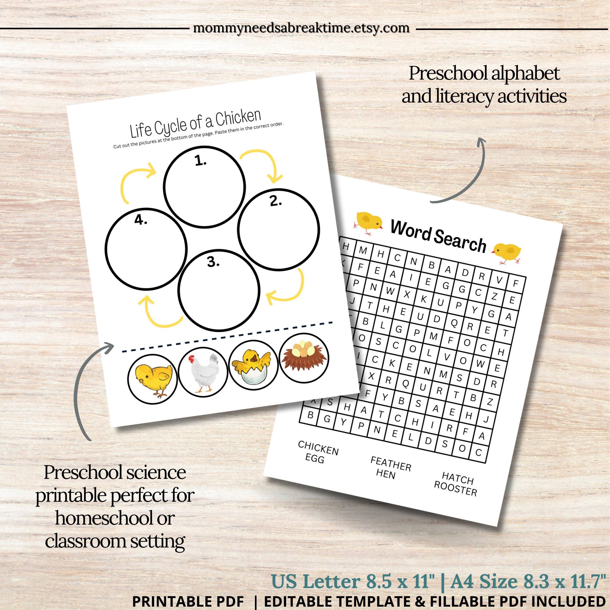 Chicken Preschool Busy Book, Chicken Life Cycle Preschool Science ...