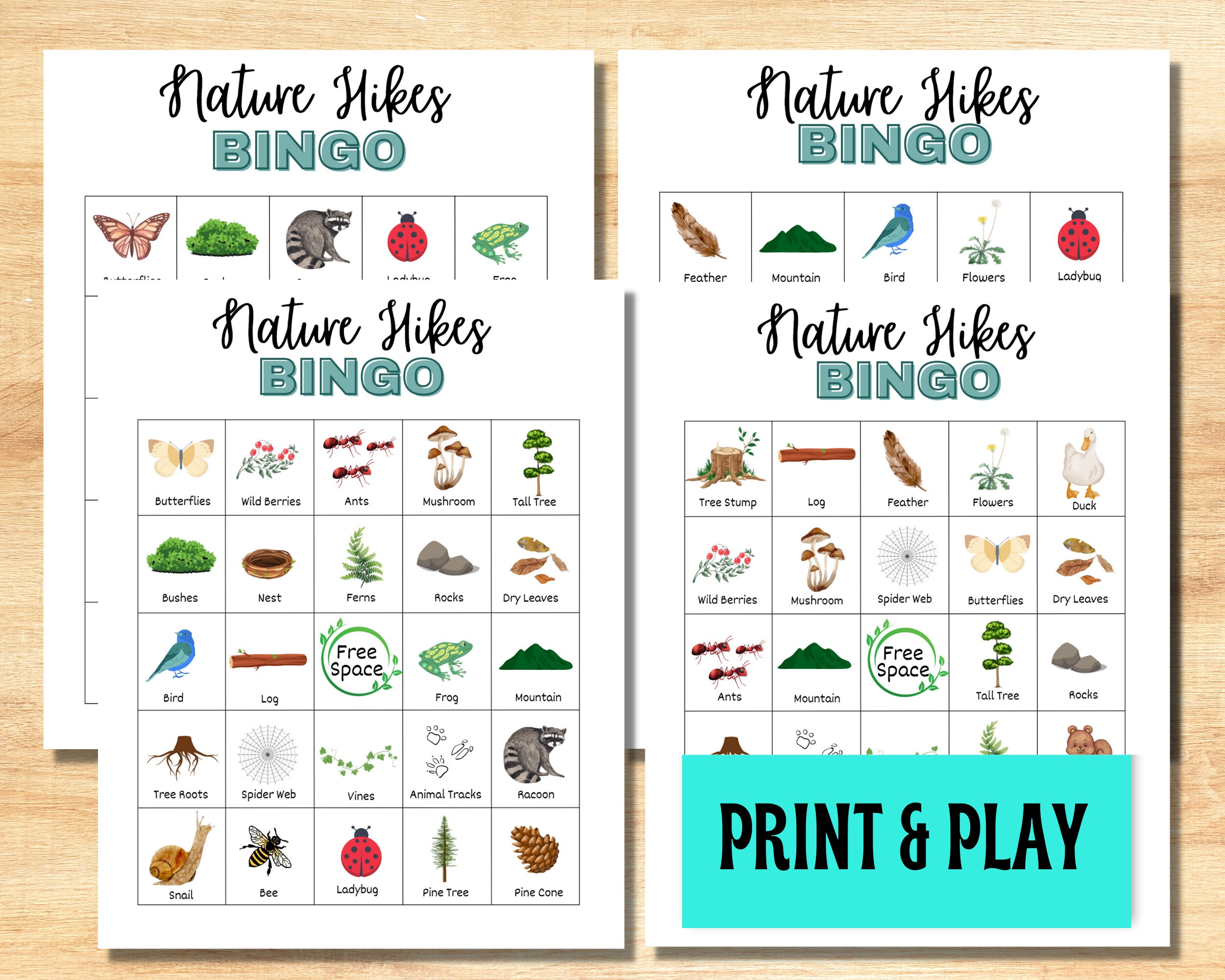 Nature Bingo Nature Hikes Bingo Printable, Nature Hunt Kids Bingo ...
