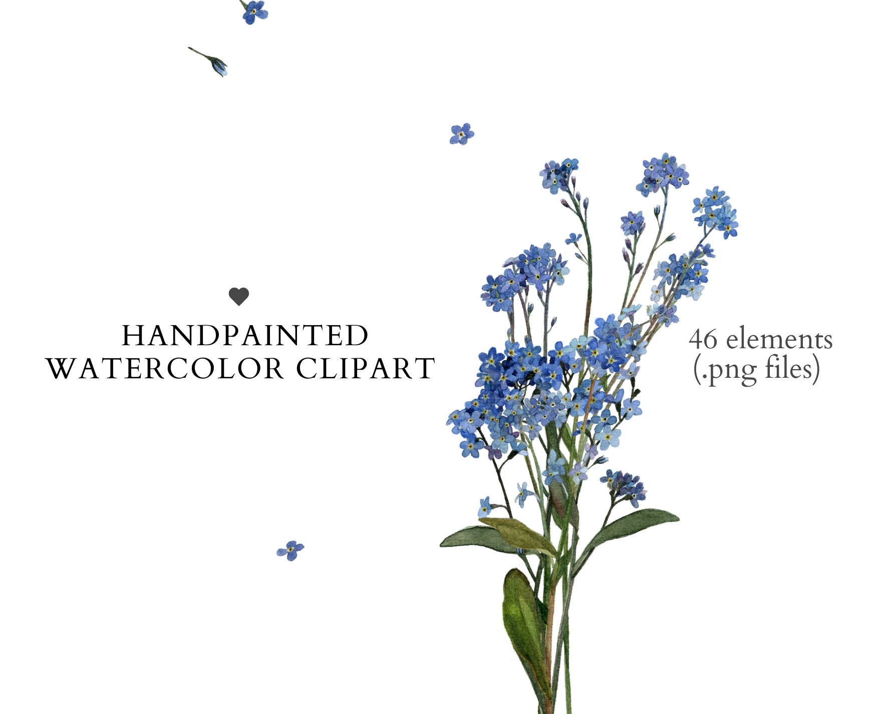 FLORAL CLIPART I Hand Drawn Clipart I BOTANICAL Clipart I Watercolor ...