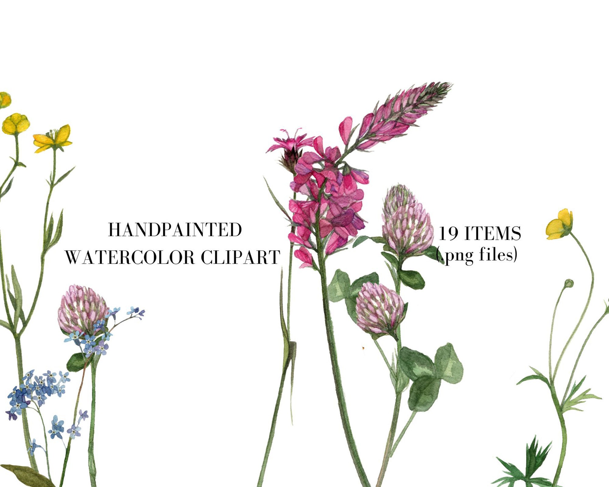 WILDFLOWER CLIPART I Hand Drawn Clipart I BOTANICAL Clipart I ...