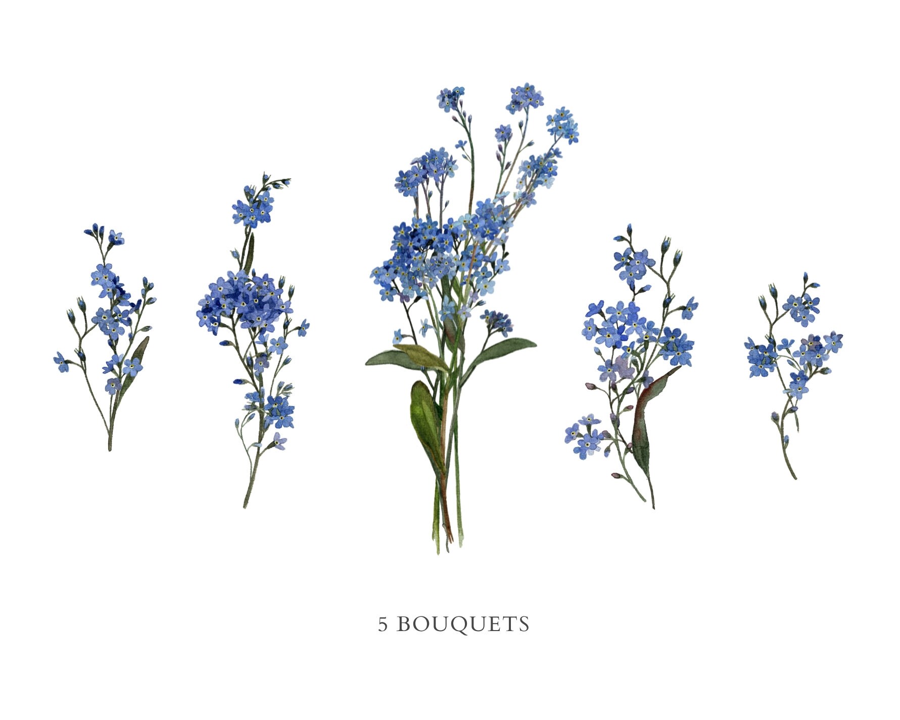 FLORAL CLIPART I Hand Drawn Clipart I BOTANICAL Clipart I Watercolor ...