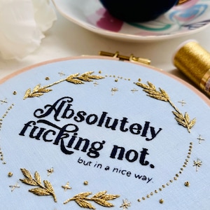 Absolutely Not / Embroidery PDF Pattern Download 6 Inch - Etsy