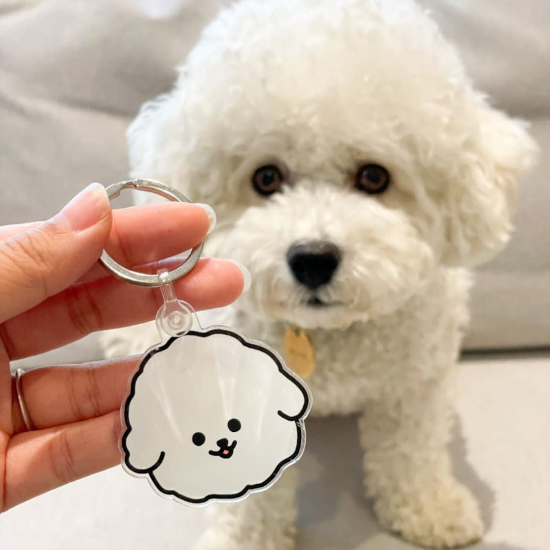 Dog Keychain | Bichon Frise Acrylic Dog Keychain - Etsy
