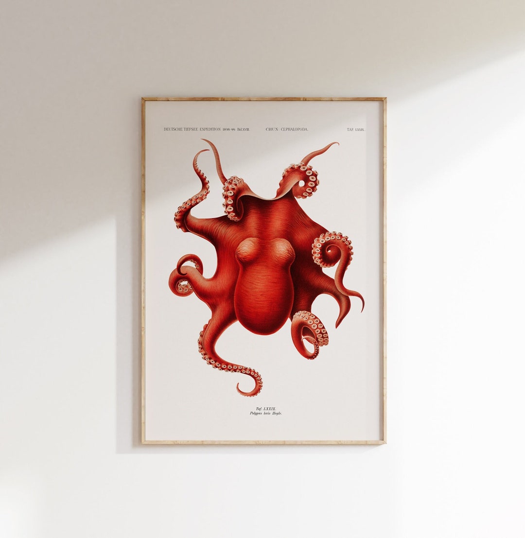 Vintage Octopus Illustration Art Print, Bathroom Art, Octopus Poster ...