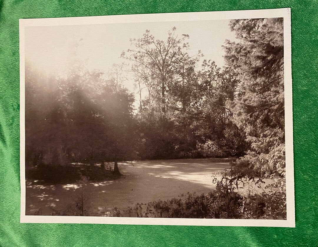 The Myrtles Plantation Pond Canvas Print - Etsy