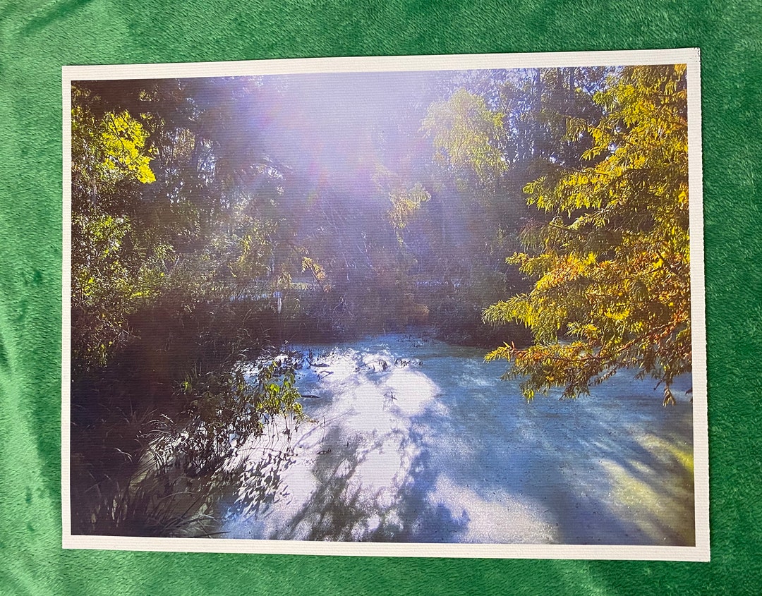 The Myrtles Plantation Pond (color Print) - Etsy