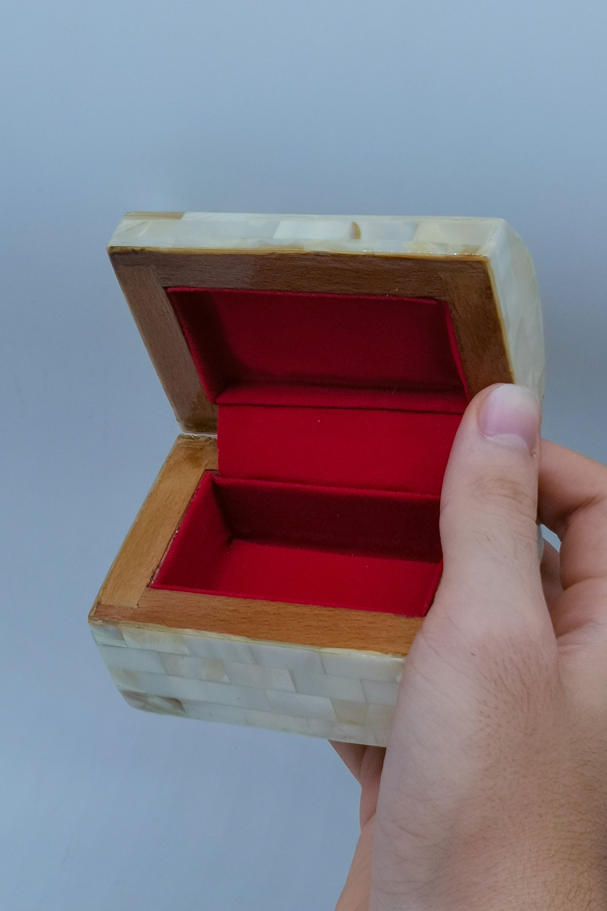 Unique Egyptian Art Seashell Box Handmade Wood Natural | Etsy