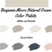 Balboa Mist by Benjamin Moore Whole Home Color Palette Interior Paint ...