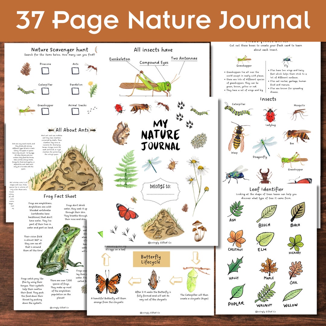 Printable Nature Journal Homeschool Learning Materials - Etsy