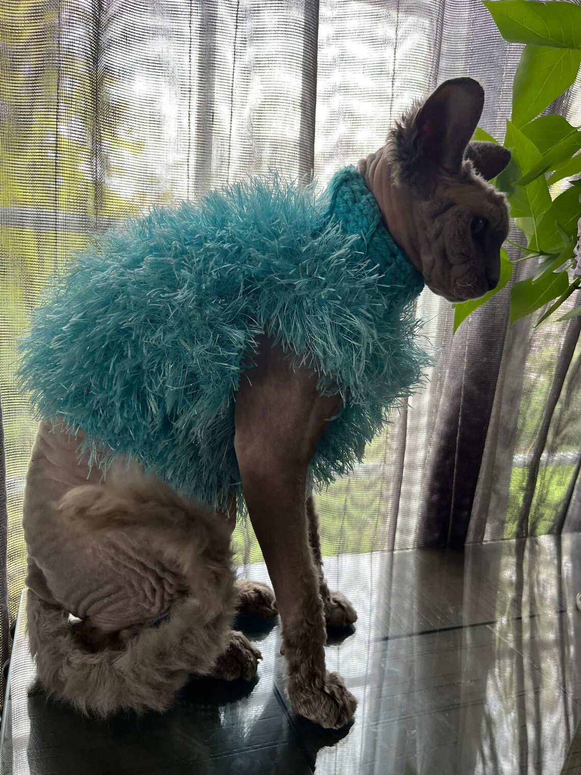 Cat in Peacock Feathers. Costume or Extra Fluffy SPHYNX Crochet Sweater ...