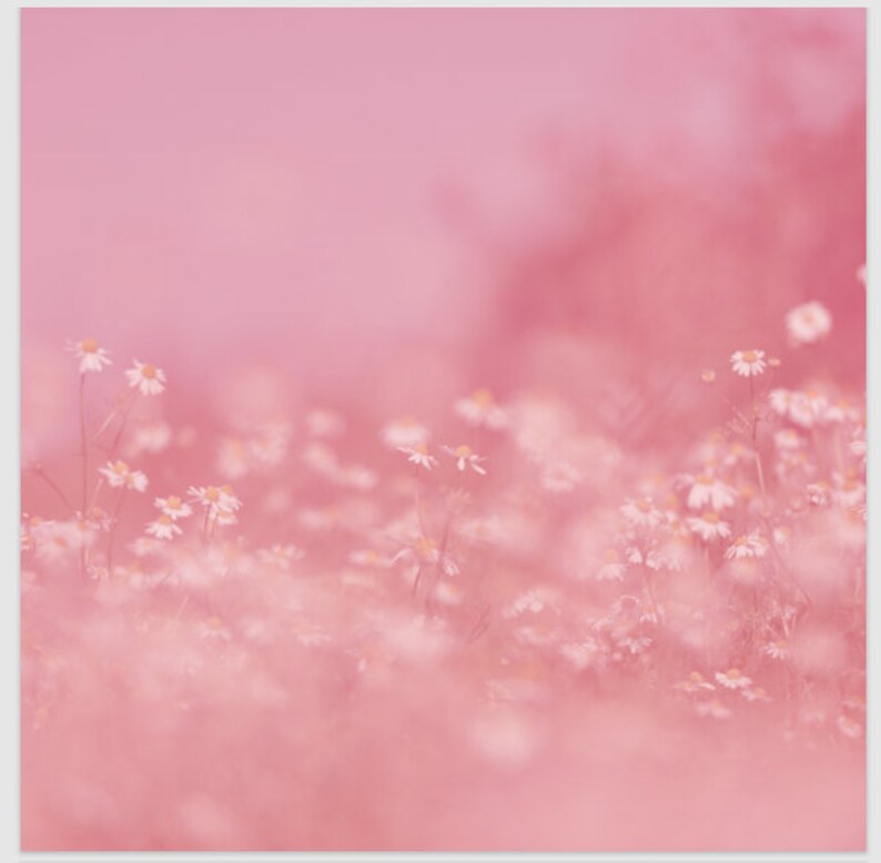 Pink Floral Art Print Bundle - Etsy