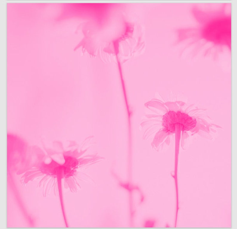 Pink Floral Art Print Bundle - Etsy