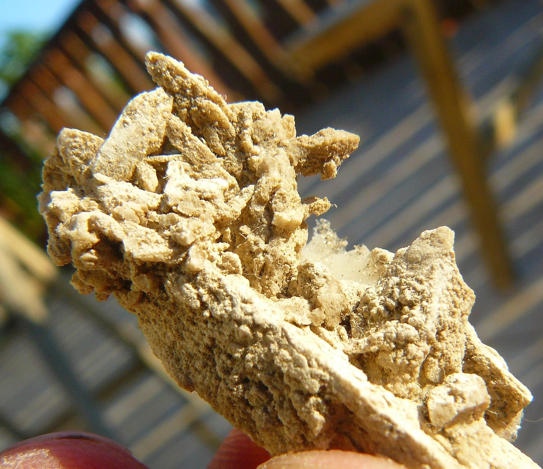 Thinolite / Glendonite - Pyramid Lake, (paiute Tribal Area), Washoe ...