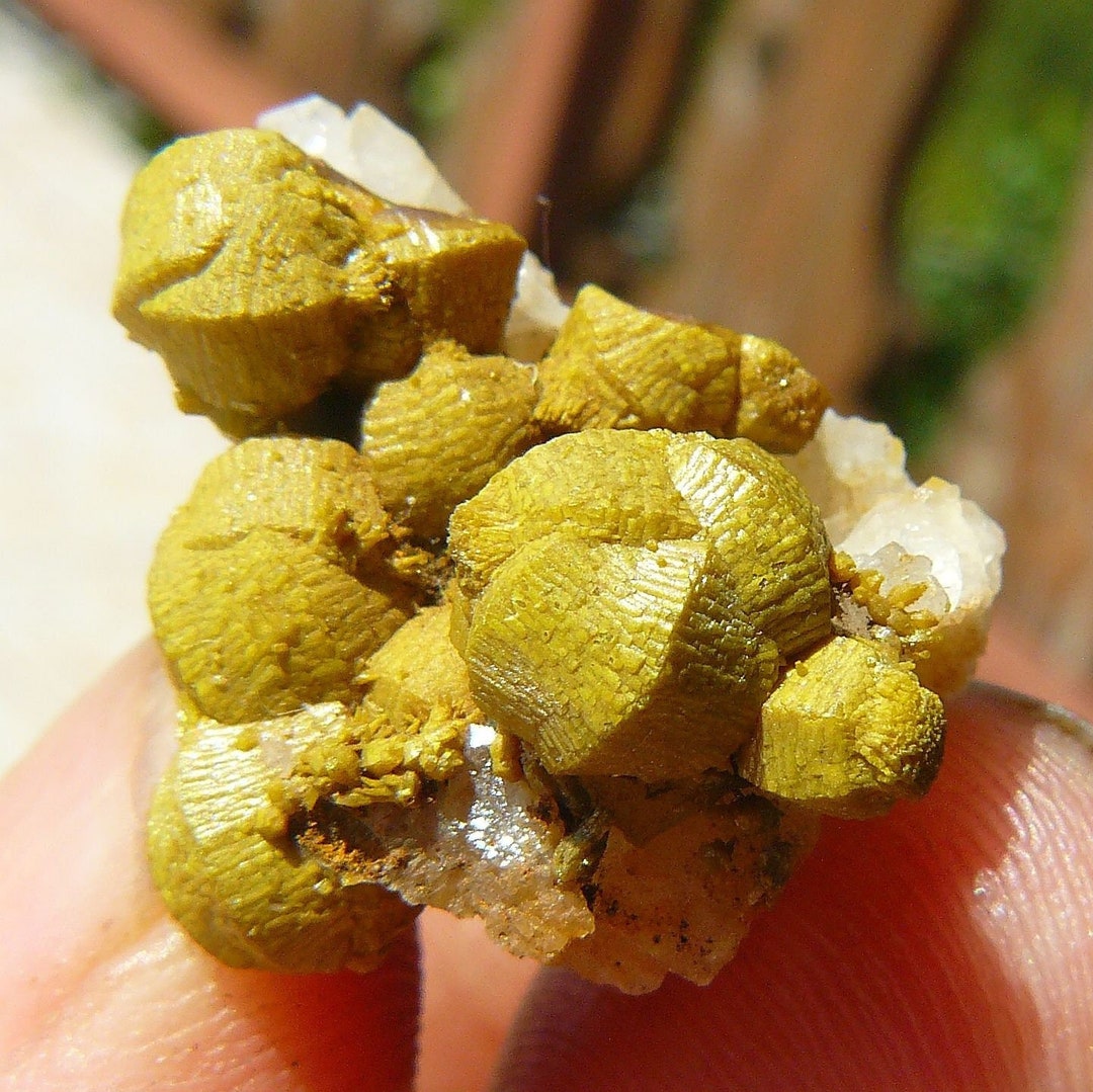 Mimetite Variety Campylite - Dry Gill Mine, Caldbeck Fells, Cumbria, UK ...