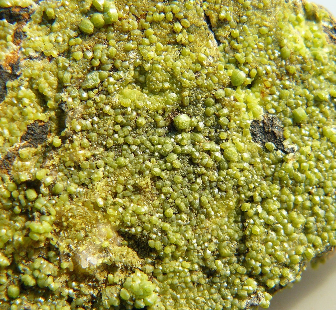 Pyromorphite / Mimetite - Driggith Mine, Caldbeck Fells, Cumbria, UK ...