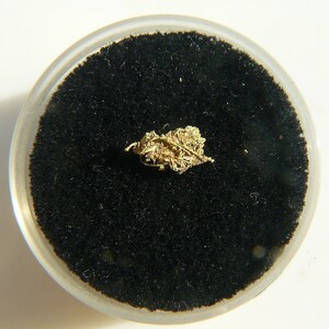 Native Gold Crystals Little Jonny Mine ibex Mine, Leadville, Colorado ...
