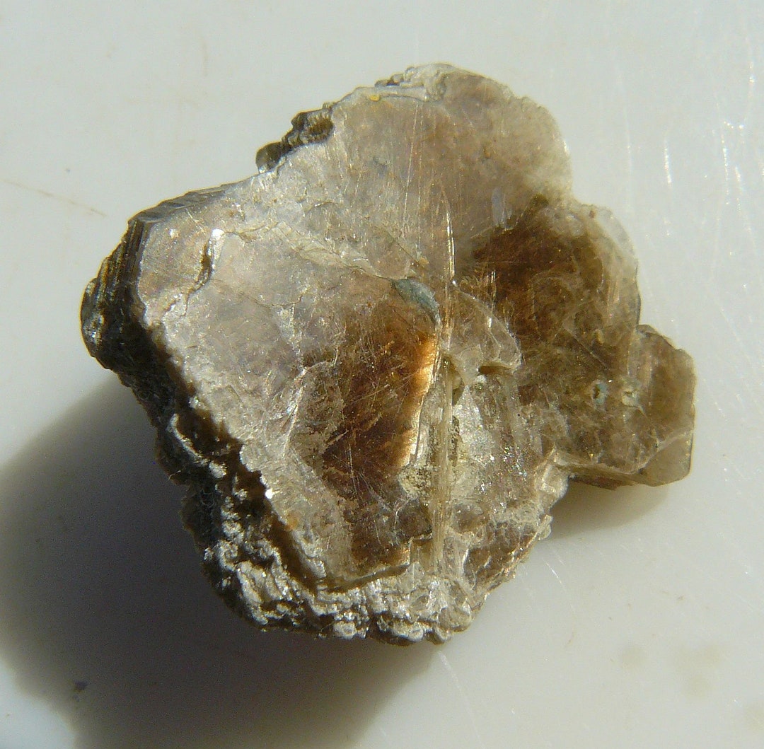 Muscovite Flower - 1960's Thumbnail - Yates Brooks Farm, Nr Shelby ...