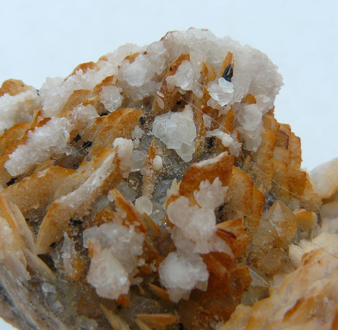 Quartz on Baryte (barite) Cockscomb Crystals With Cerussite - Mibladen ...
