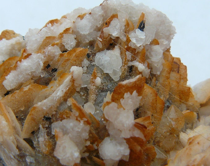 Quartz on Baryte (barite) Cockscomb Crystals With Cerussite - Mibladen ...