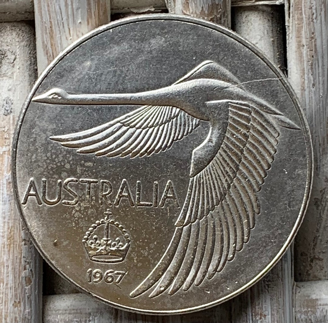 1967 Swan Goose Dollar reproduction/copy - Etsy