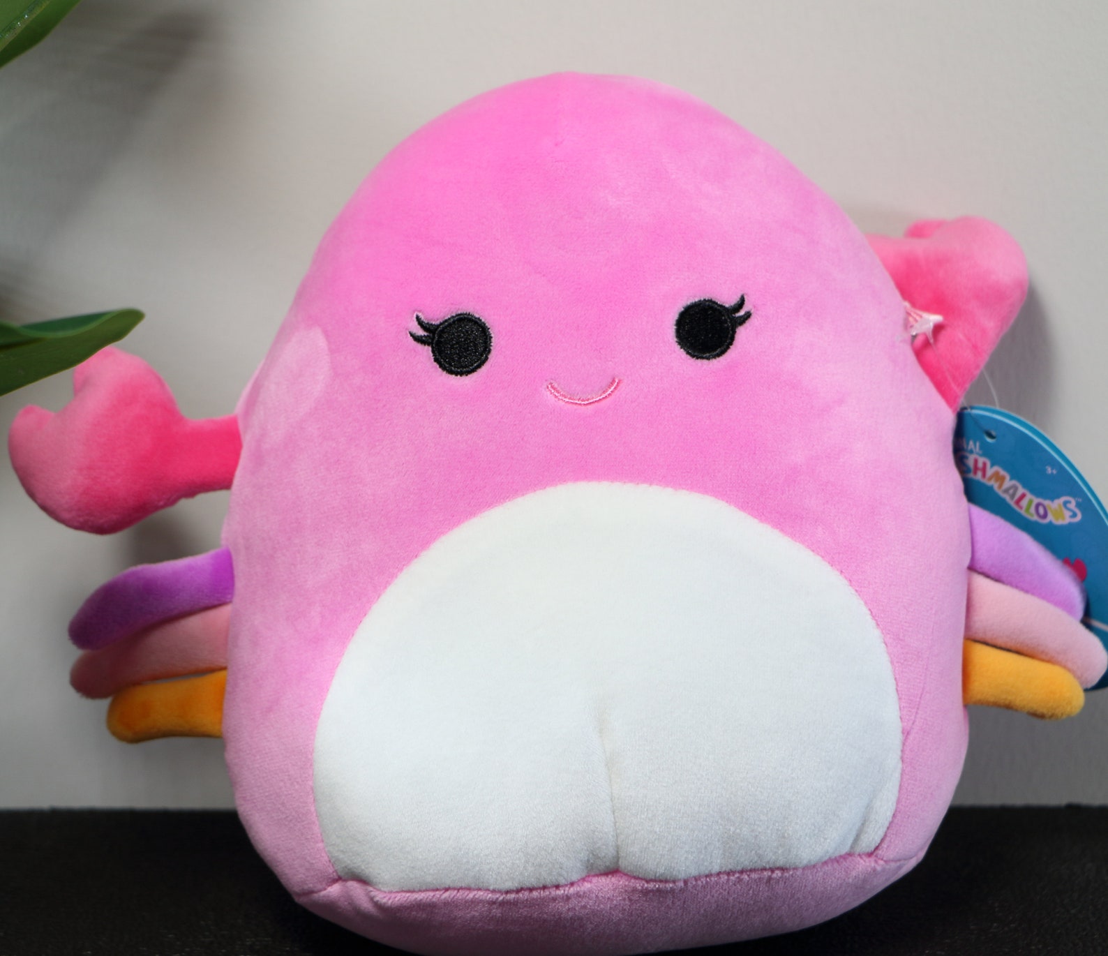Personalized Squishmallows 7.5 Inches Custom Squishmallows - Etsy