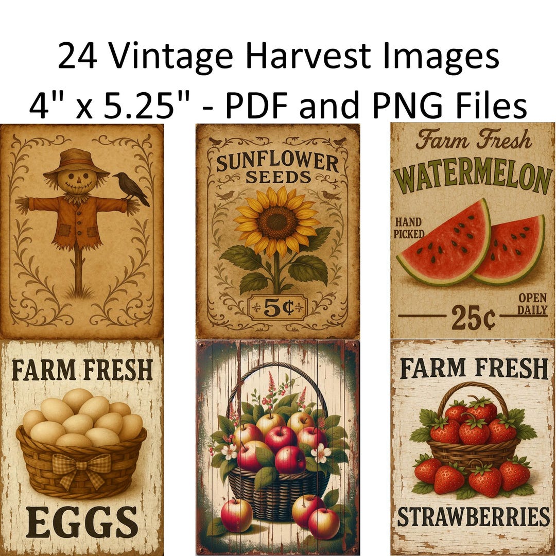 Harvest Prints, Fall Prints, Sunflower Prints, 24 Vintage Prints, PDF ...