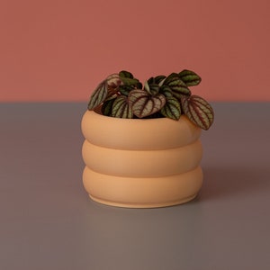 Pastel Planters Plant Pots Colourful Planters Cute Plant Pots Pots for ...