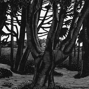 The Eric Ravilious Wood Engraving Postcard Collection (part II). - Etsy UK