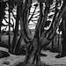 The Eric Ravilious Wood Engraving Postcard Collection (part II). - Etsy UK