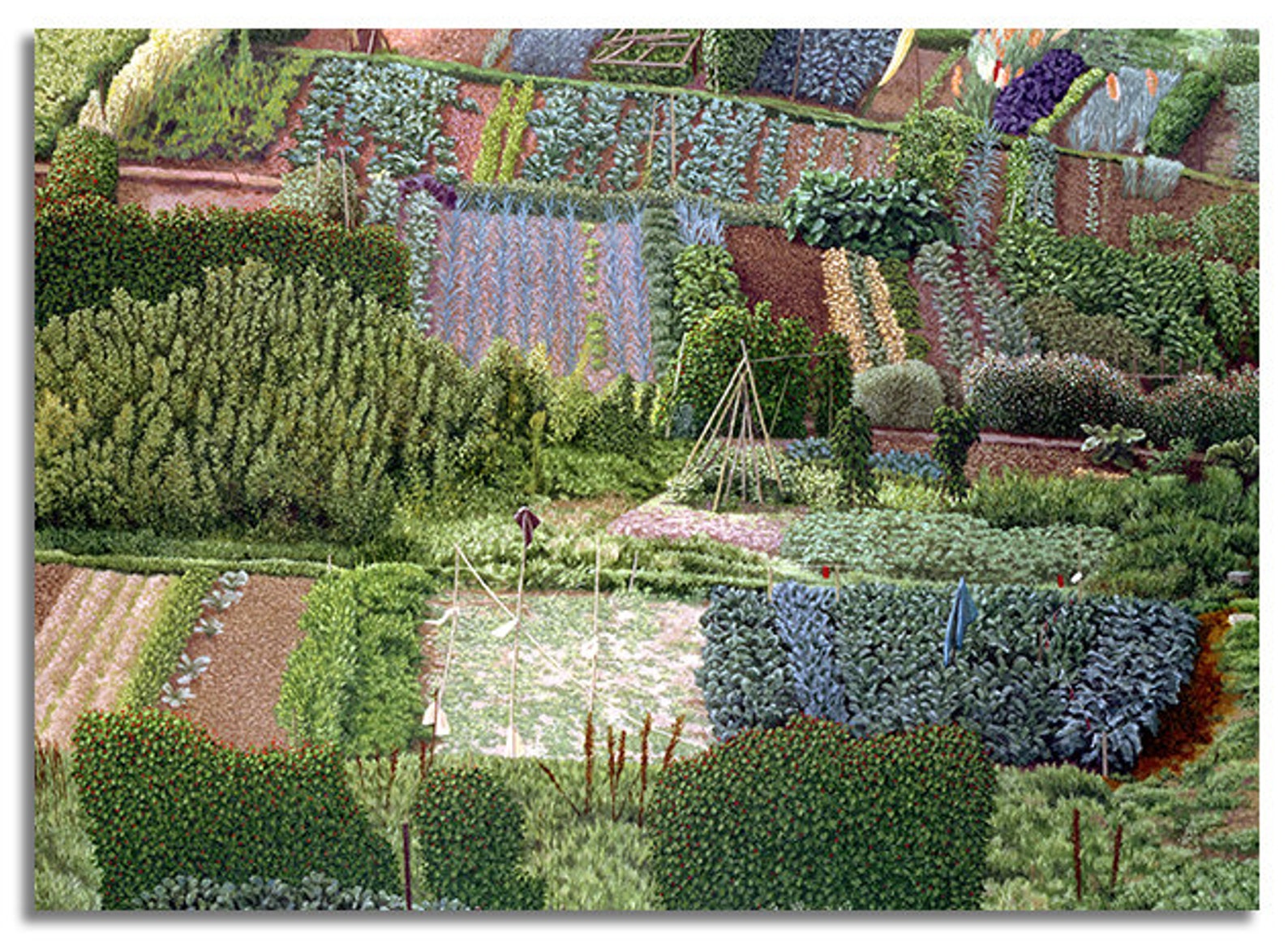 Sun, Soil and Water Postcard Collection - Etsy