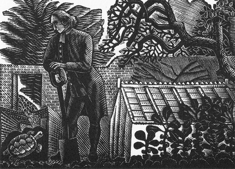 The Eric Ravilious Wood Engraving Postcard Collection part I - Etsy