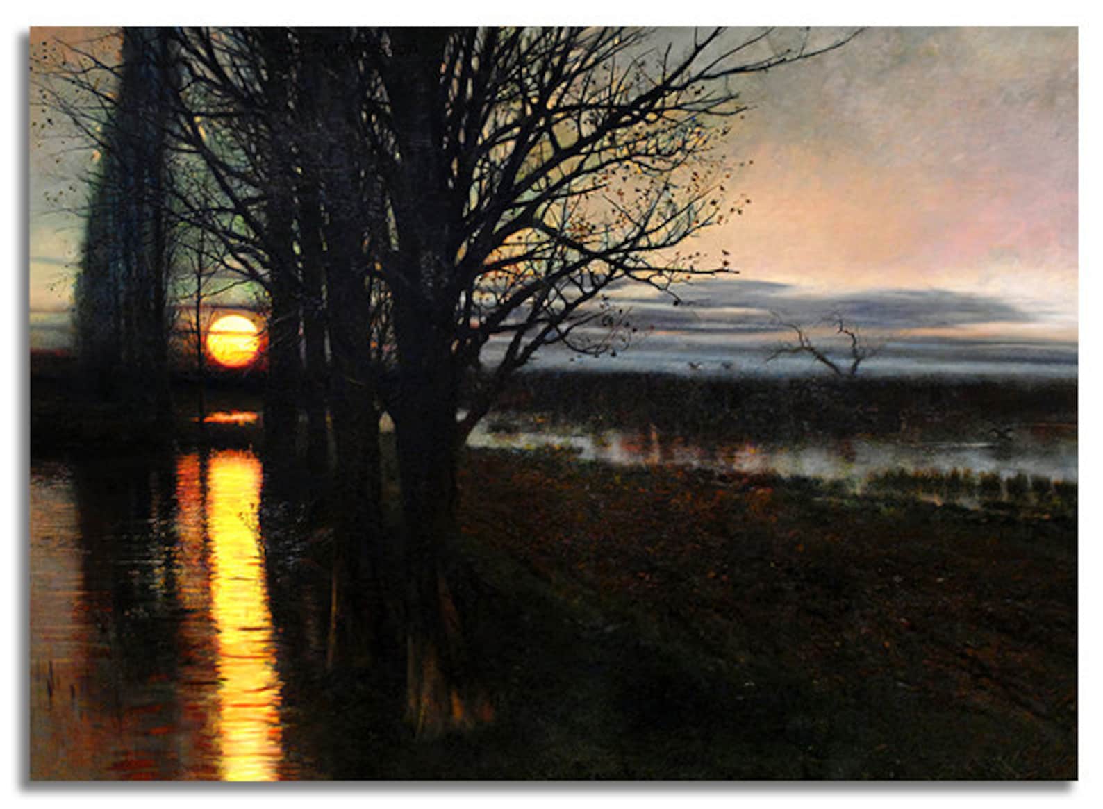 Sun, Soil and Water Postcard Collection - Etsy