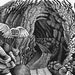 The Eric Ravilious Wood Engraving Postcard Collection (part I ...