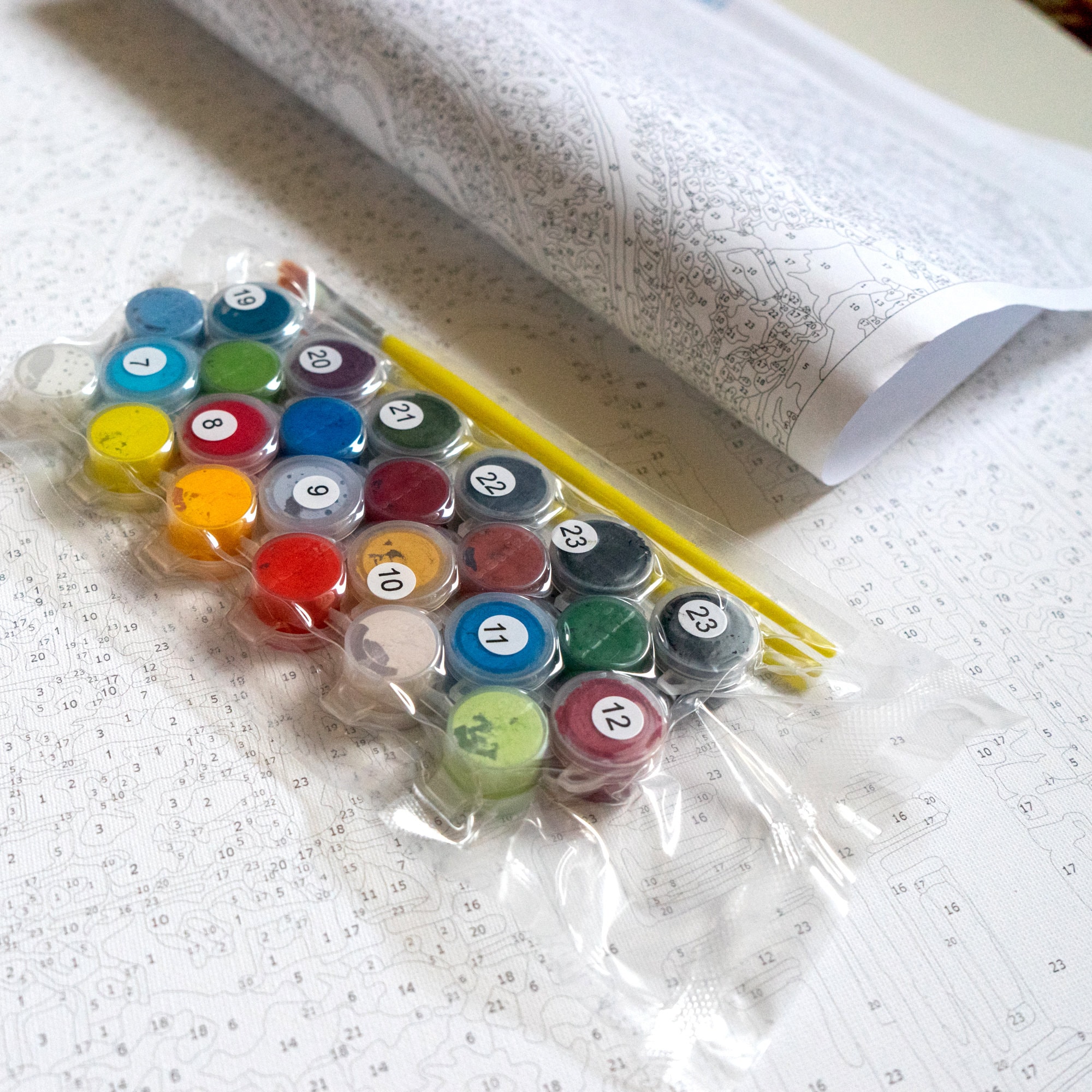 Bright Peony Paint by Number Kit With FRAME Color by Numbers - Etsy