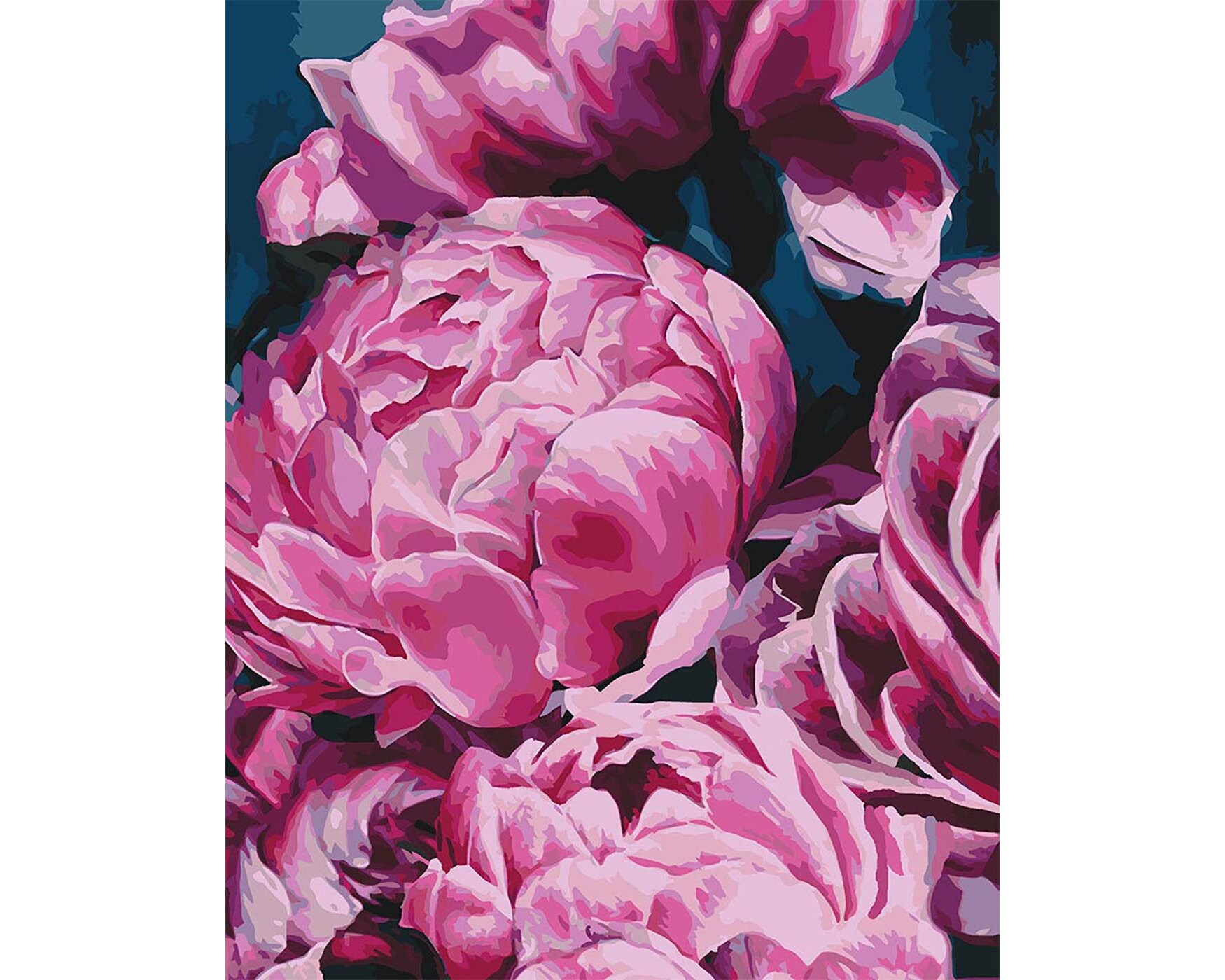 Velvet Peonies Paint by Number KIT With Frame Flower Color by - Etsy