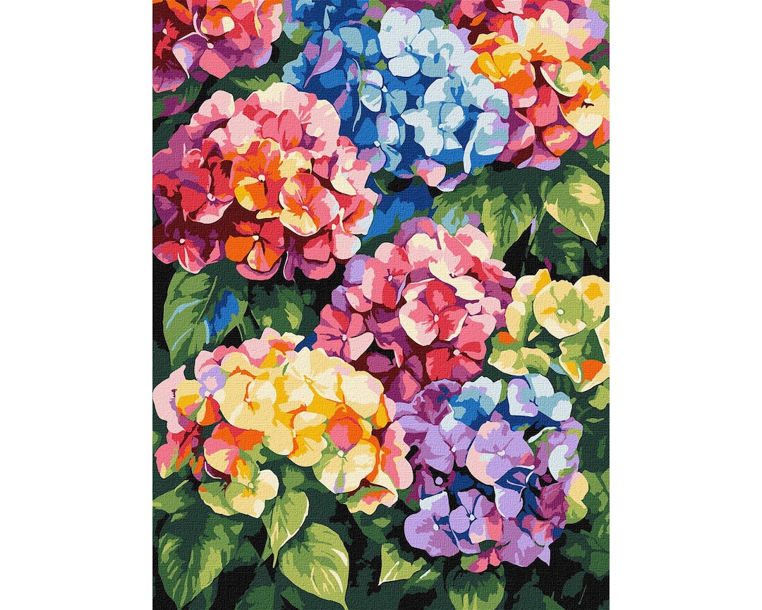 Multicolored Hydrangeas - Paint by Number KIT With Frame! Flower Color ...