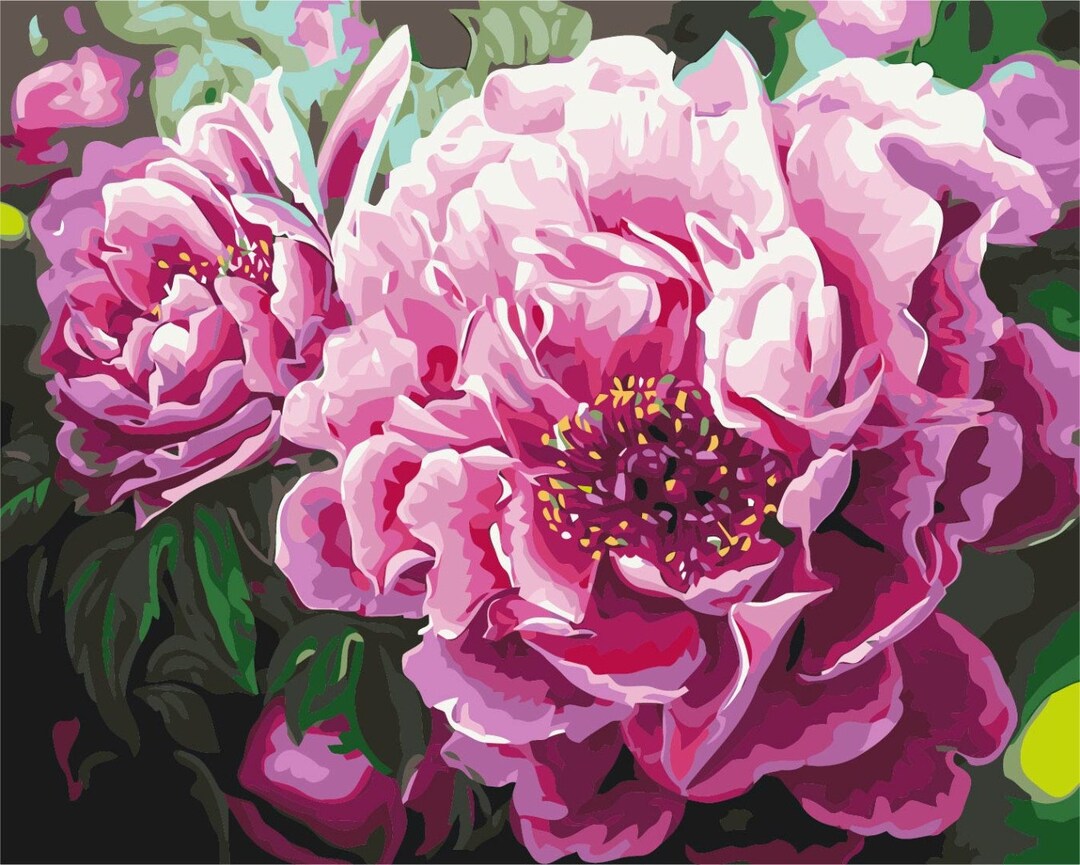 Royal Peony Paint by Number Kit With FRAME Color by Numbers - Etsy