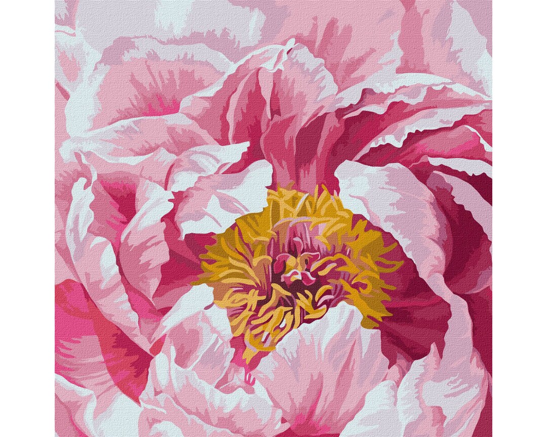 Bright Peony Paint by Number Kit With FRAME Color by Numbers - Etsy