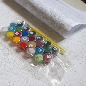 Velvet Peonies Paint by Number KIT With Frame! Flower Color by Numbers ...