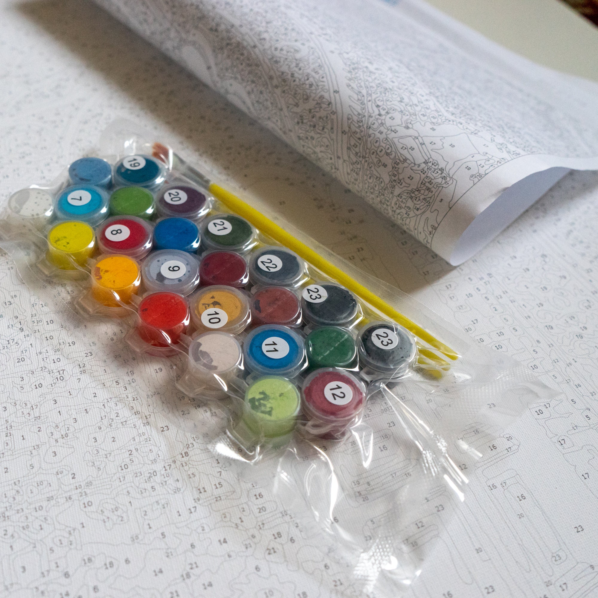 Colorful Dahlias Paint by Number KIT With Frame! Flower Color by ...