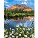 Mountain Landscape - Paint by Number Kit With Frame! Adult Coloring Kit ...